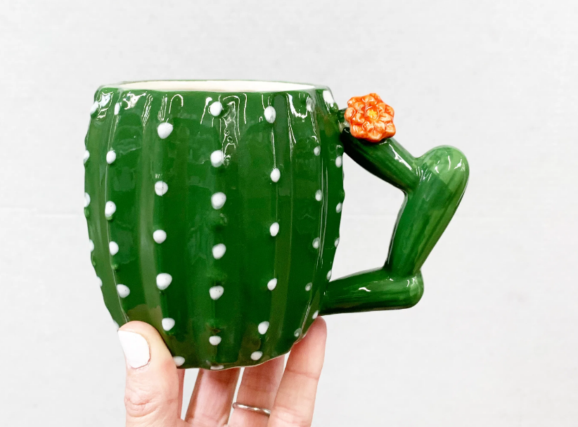 5 Unique Gift Ideas for the Cactus Lovers in Your Life - The Couple ...