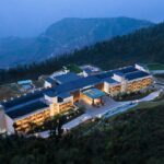 Nikadate Review: Finding Love with a Focus on Compatibility